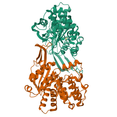 RCSB PDB - 7OU1: Crystal structure of Rhizobium etli inducible L ...