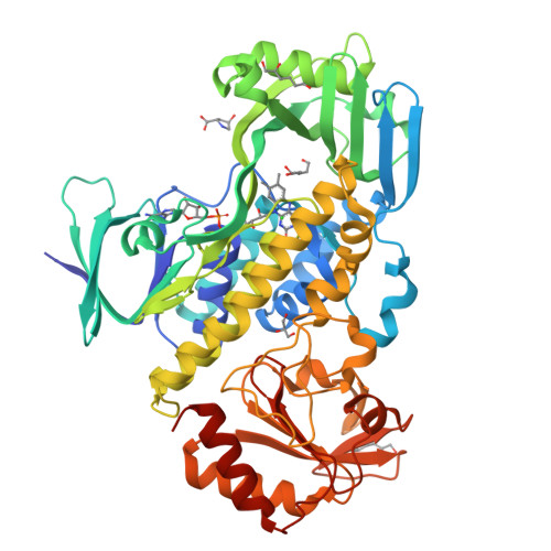 RCSB PDB - 7OUJ: Crystal structure of the flavoprotein monooxygenase ...