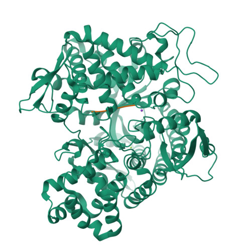 RCSB PDB - 7OUP: Structure of human DPP3 in complex with a ...
