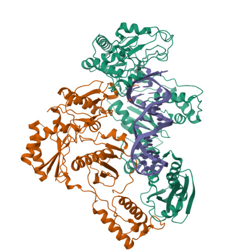 RCSB PDB - 7OZW: Cryo-EM structure of HIV-1 reverse transcriptase with ...