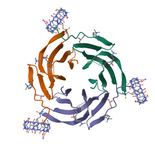 RCSB PDB - 7P2H: Dimethylated fusion protein of RSL and mussel adhesion ...