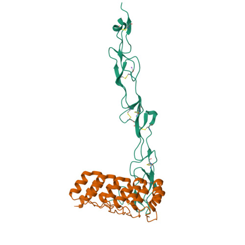 RCSB PDB - 7P3I: Crystal structure of human CD40/TNFRSF5 in complex ...