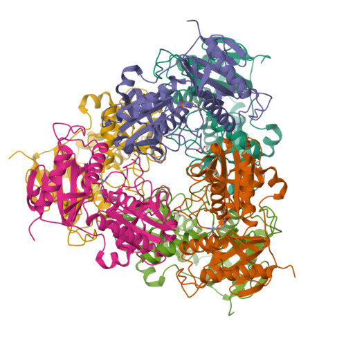 RCSB PDB - 7P3T: Transaminase of gamma-proteobacterium