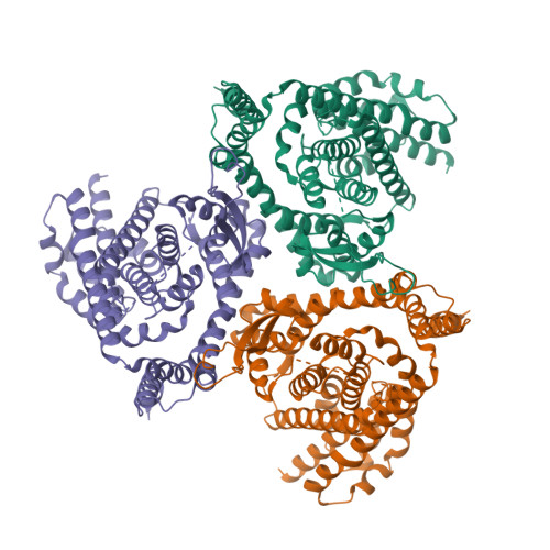 RCSB PDB - 7P4I: Structure of human ASCT1 transporter