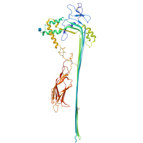 RCSB PDB - 7PAG: The pore conformation of lymphocyte perforin
