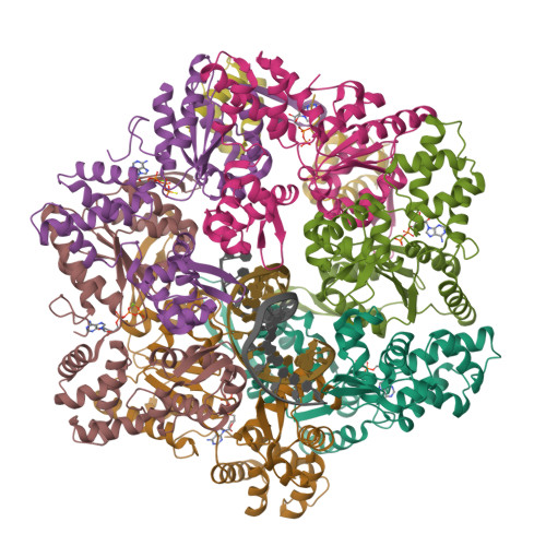 RCSB PDB - 7PBP: RuvAB branch migration motor complexed to the Holliday ...