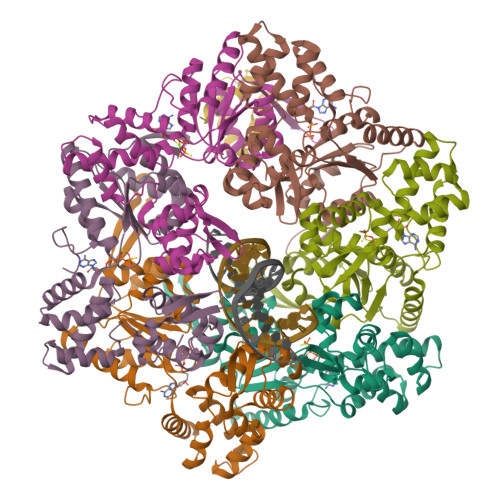 RCSB PDB - 7PBS: RuvAB branch migration motor complexed to the Holliday ...