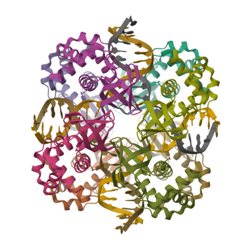 RCSB PDB - 7PBU: RuvAB branch migration motor complexed to the Holliday ...