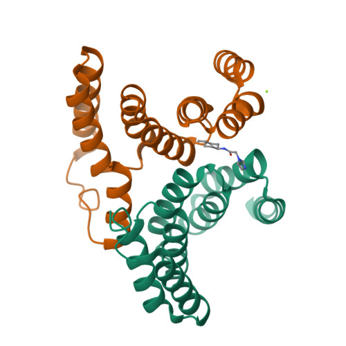 RCSB PDB - 7PE0: Crystal structure of IpgC in complex with J52
