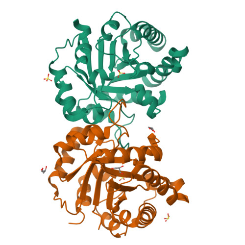 RCSB PDB - 7PEK: Crystal structure of Triosephosphate Isomerase C216A ...