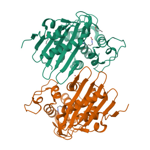 RCSB PDB - 7PGO: OXA-48_R250A with carbamylated Lys73 with bromide ions ...