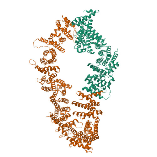 RCSB PDB - 7PGP: The core structure of human neurofibromin isoform 2