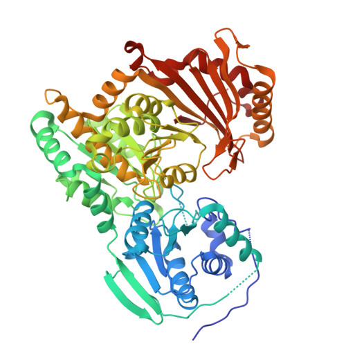 RCSB PDB - 7PIZ: The structure of phosphoglucomutase from Candida albicans