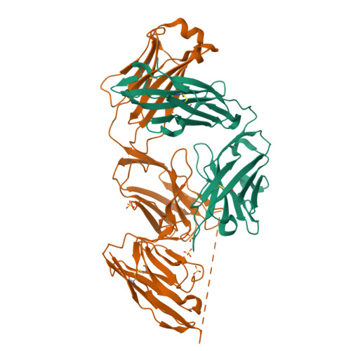 RCSB PDB - 7PKL: Mechanistic understanding of antibody masking with ...