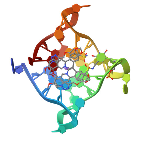 RCSB PDB - 7PNL: Complex between monomolecular human telomeric G ...