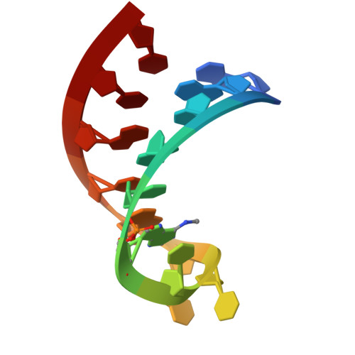 RCSB PDB - 7POF: Structural effects of m6A modification of the Xist A ...
