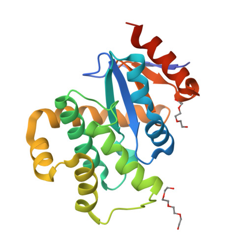 RCSB PDB - 7PQ7: Crystal structure of Campylobacter jejuni DsbA1