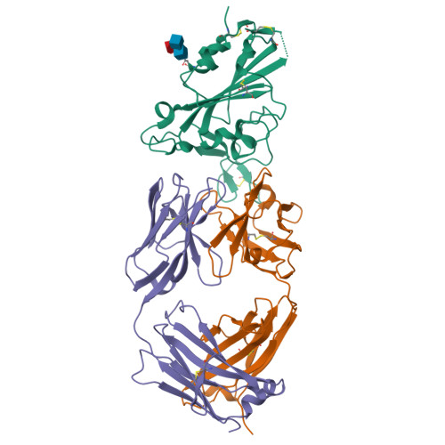 RCSB PDB - 7PQY: Crystal structure of the receptor binding domain of ...