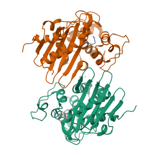 RCSB PDB - 7PSF: Crystal Structure of a Class D Carbapenemase Complexed ...