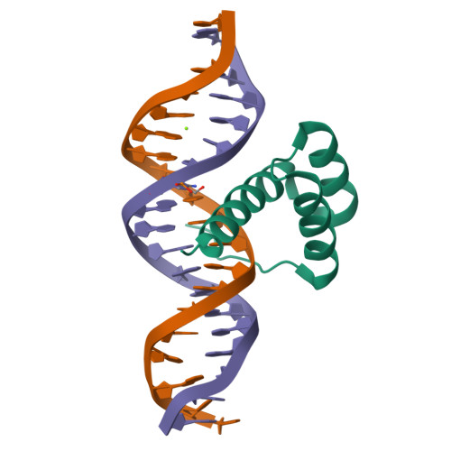 RCSB PDB - 7PSX: Structure of HOXB13 bound to hydroxymethylated DNA