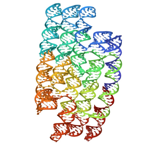 RCSB PDB - 7PTS: RNA origami 5-helix tile