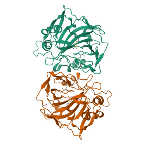 RCSB PDB - 7PUW: Crystal structure of carbonic anhydrase XII with ...