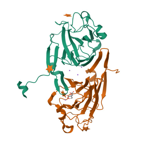 RCSB PDB - 7PVI: dTDP-sugar epimerase