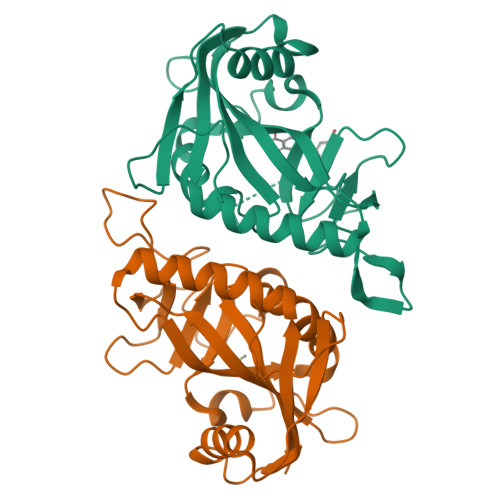 RCSB PDB - 7PWP: PARP15 catalytic domain in complex with OUL221
