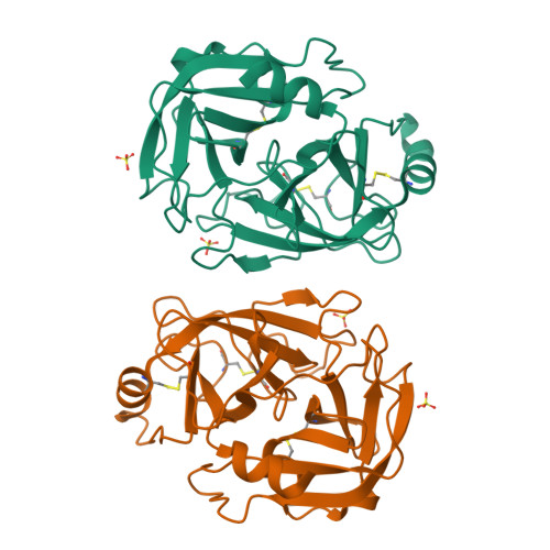 RCSB PDB - 7PZO: mite allergen Der p 3 from Dermatophagoides pteronyssinus