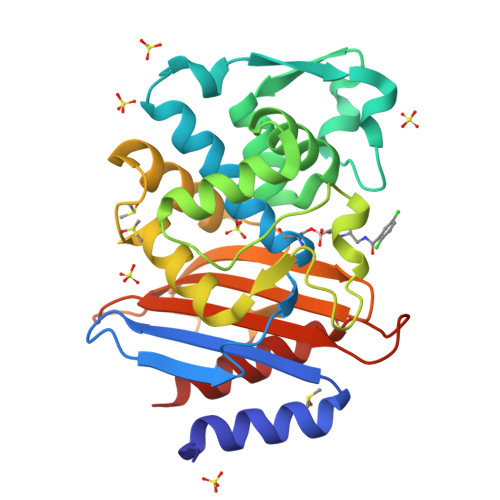 RCSB PDB - 7Q11: Crystal structure of CTX-M-14 in complex with Ixazomib