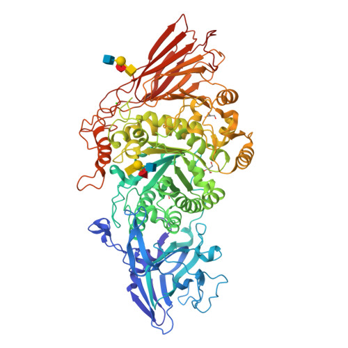 RCSB PDB - 7Q1W: Ruminococcus gnavus ATC29149 endo-beta-1,4 ...