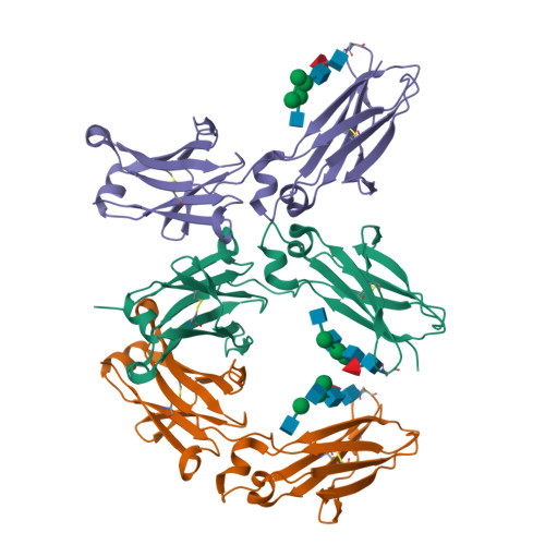RCSB PDB - 7Q3P: Crystal structure of IgG1-Fc-MST-HN (efgartigimod)