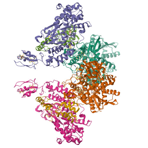 RCSB PDB - 7Q4W: CryoEM structure of electron bifurcating Fe-Fe ...