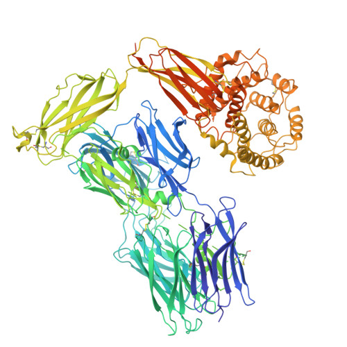 RCSB PDB - 7Q60: Structure of TEV cleaved A2ML1 (A2ML1-TE)