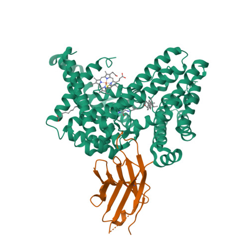 RCSB PDB - 7Q6Z: Structure of Hedgehog acyltransferase (HHAT) in ...