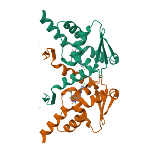 RCSB PDB - 7Q7R: Crystal structure of human BCL6 BTB domain in complex ...