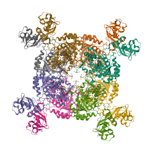 RCSB PDB - 7QBJ: bacterial IMPDH chimera
