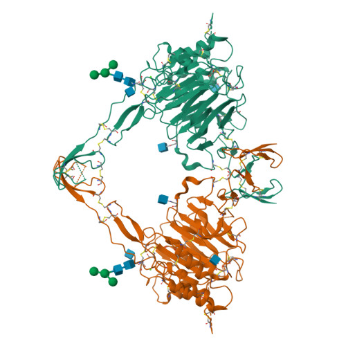 RCSB PDB - 7QCN: Structure of the MUCIN-2 Cterminal domains: vWCN to ...