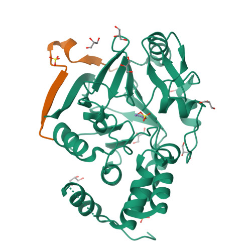 RCSB PDB - 7QFB: Crystal structure of Protein Phosphatase 1 in complex ...