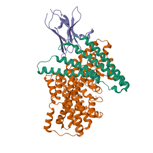 RCSB PDB - 7QHA: Cryo-EM structure of the Tripartite ATP-independent ...