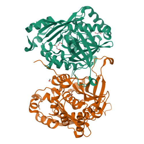 RCSB PDB - 7QI3: Structure of Fusarium verticillioides NAT1 (FDB2) N ...