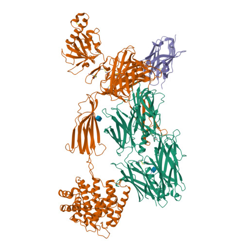 RCSB PDB - 7QIV: Structure of human C3b in complex with the EWE nanobody