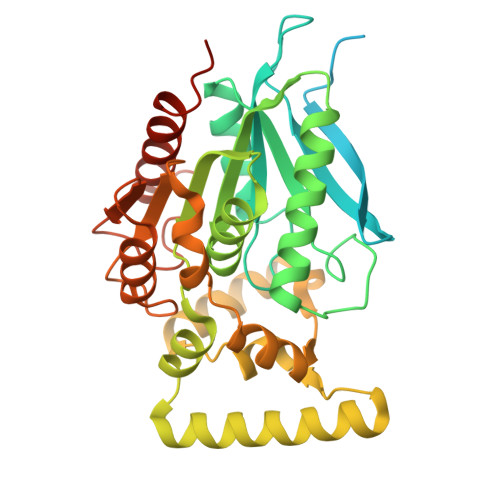 RCSB PDB - 7QJM: Crystal structure of an alpha/beta-hydrolase enzyme ...