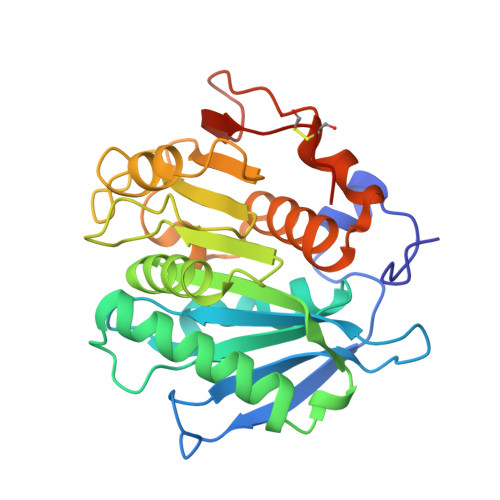 RCSB PDB - 7QJO: Crystal structure of a cutinase enzyme from ...