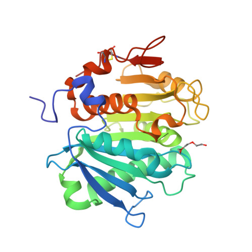RCSB PDB - 7QJR: Crystal structure of cutinase 1 from Thermobifida ...