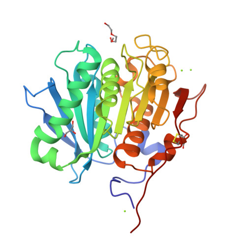 RCSB PDB - 7QJT: Crystal structure of a cutinase enzyme from ...
