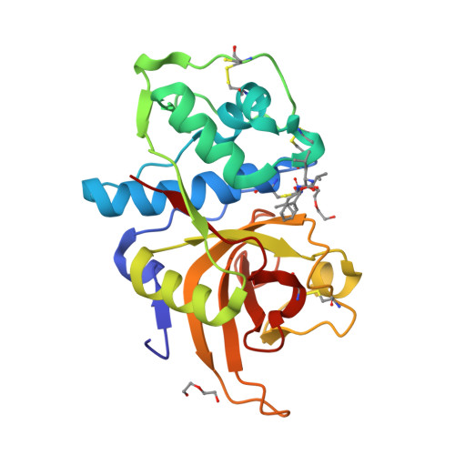 RCSB PDB - 7QKD: Crystal structure of human Cathepsin L in complex with ...
