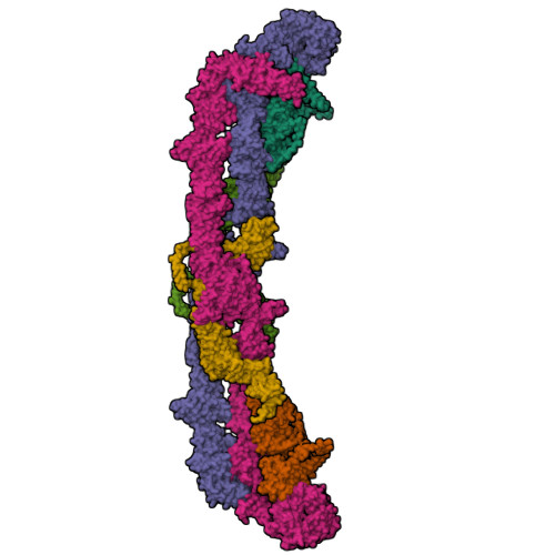 RCSB PDB - 7QPG: Human RZZ kinetochore corona complex.