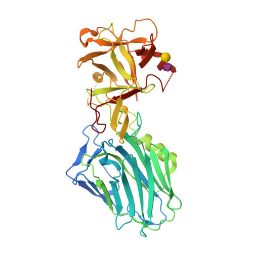 RCSB PDB - 7QPU: Botulinum neurotoxin A5 cell binding domain in complex ...