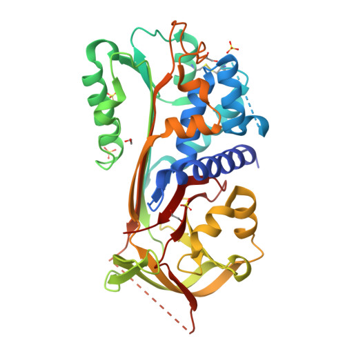 RCSB PDB - 7QR2: Crystal structure of chicken Ovalbumin-related protein X